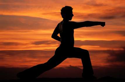 Kata practice - Martial Journal