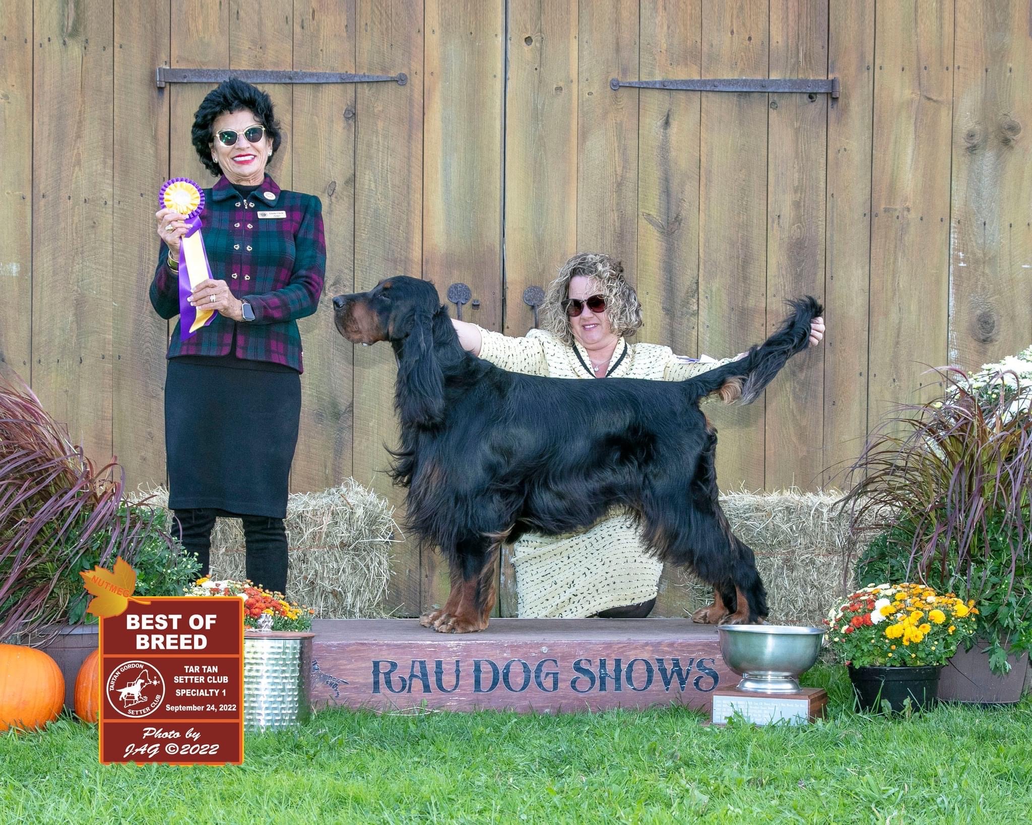 Autumn 2023 Gordon Setter Specialty - Martial Journal